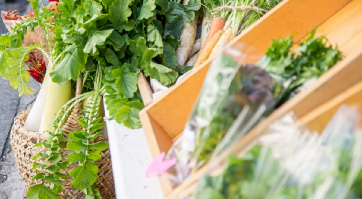 ベジファームハカマタ – 浜松市西区にあるベジファームハカマタは、3代続く地元に根付いた農家です。